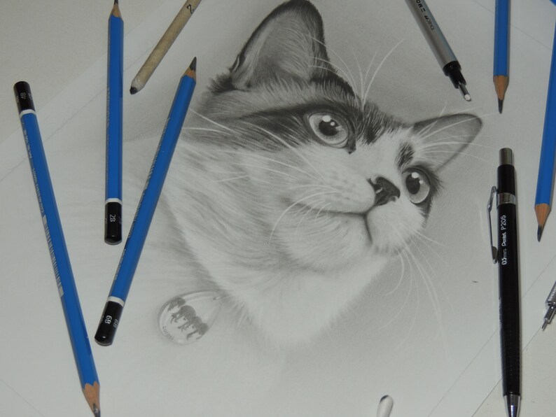 Pencil Drawing of Your Beloved Animal. Cats, Dogs or Any Kind of ...