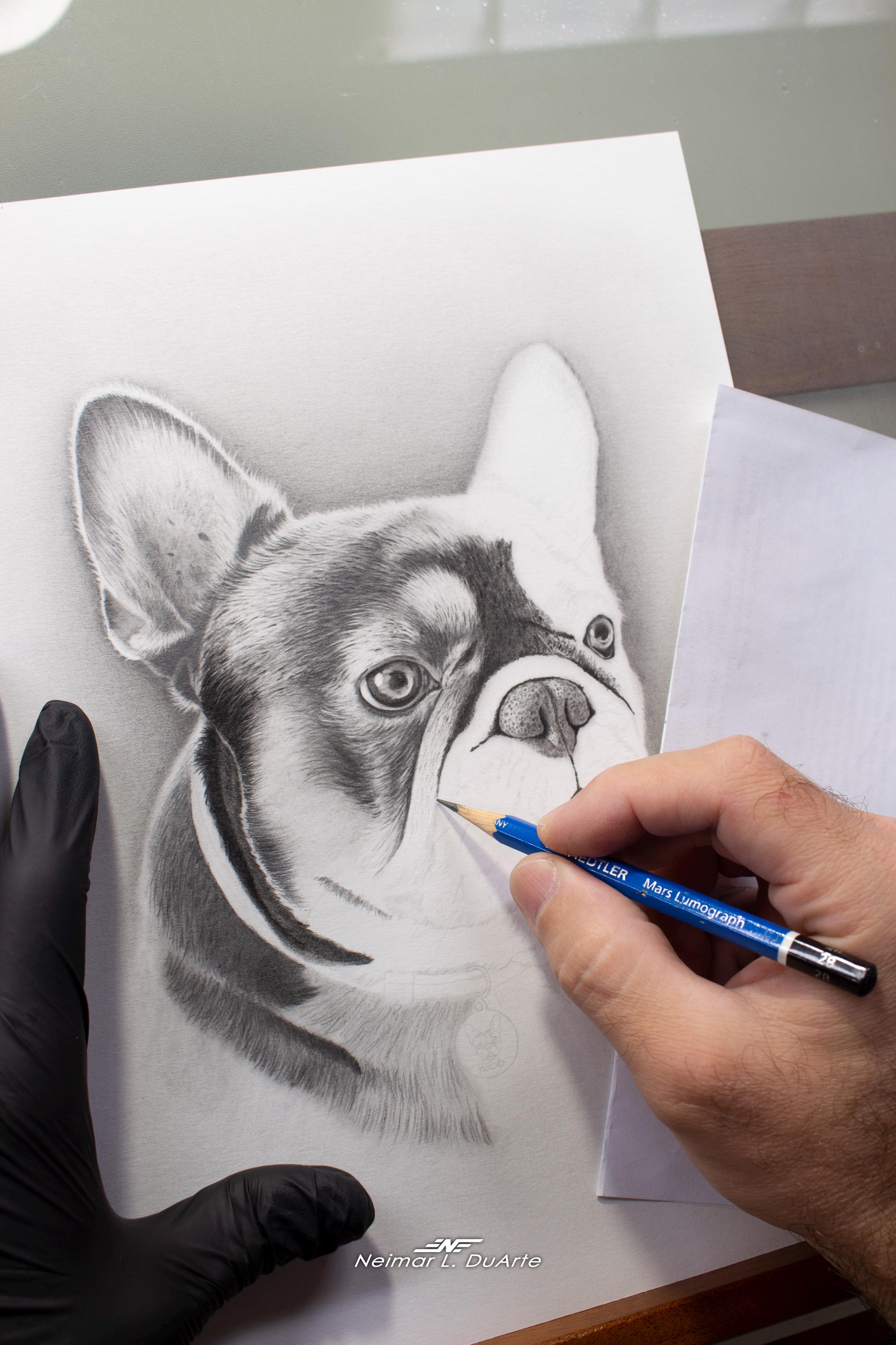 Pencil Drawing of Your Beloved Animal. Cats, Dogs or Any Kind of ...