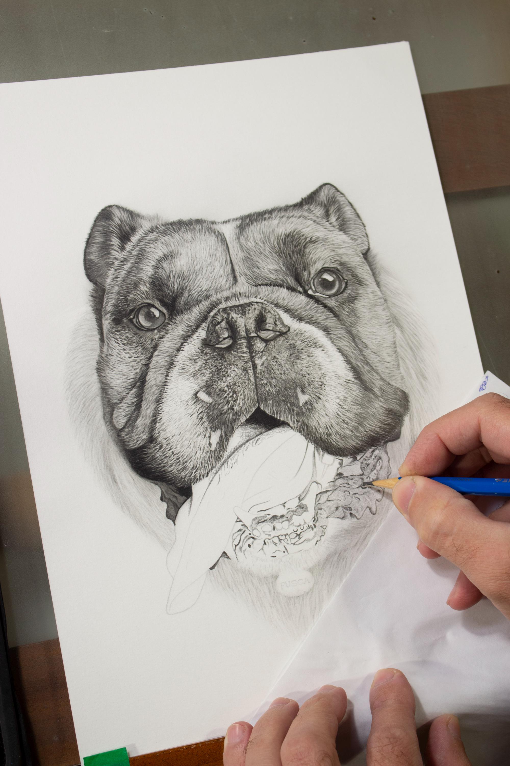 Pencil Drawing of Your Beloved Animal. Cats, Dogs or Any Kind of ...
