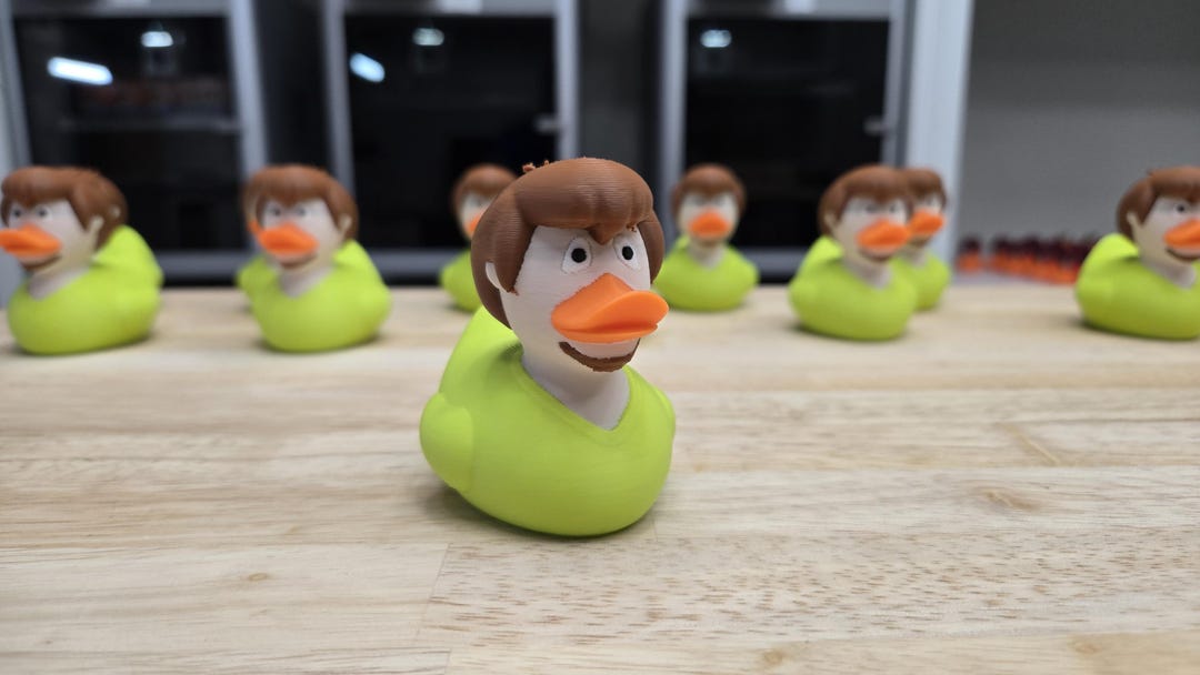 Scared Mystery Solving Duck - 3D Printed - Etsy