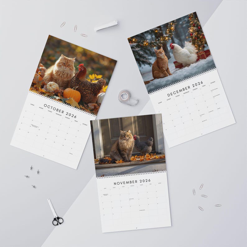 Cats & Chickens 2026 Wall Calendar | Funny Farm Animal Calendar | 12 ...