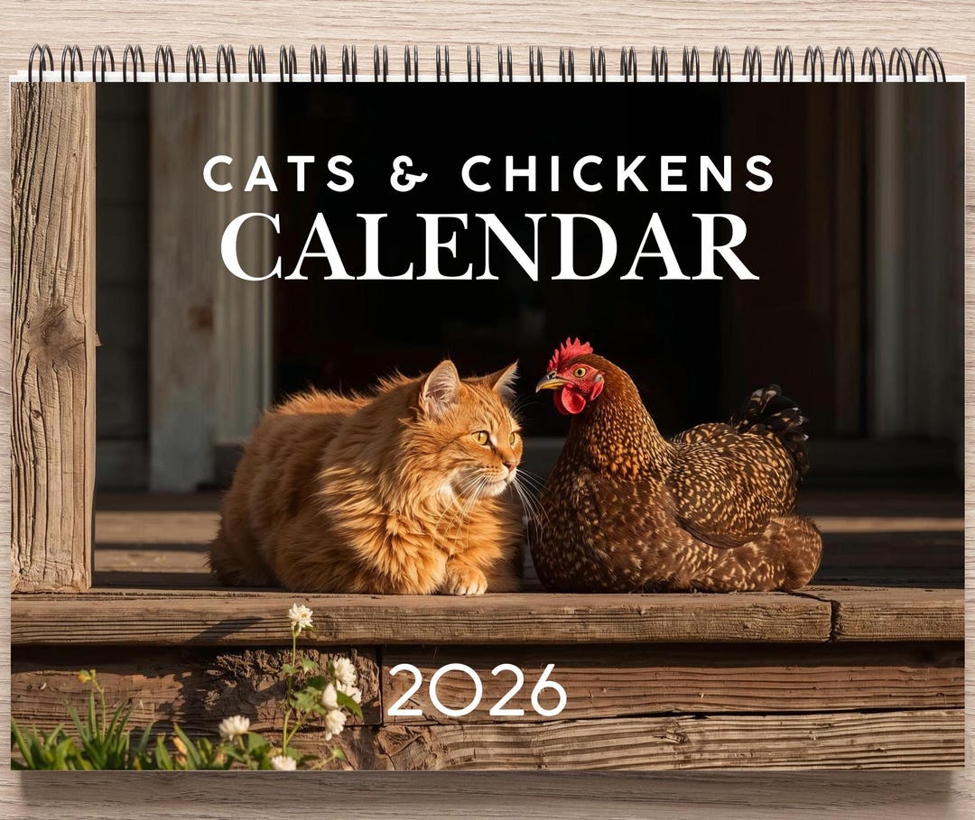 Cats & Chickens 2026 Wall Calendar | Funny Farm Animal Calendar | 12 ...