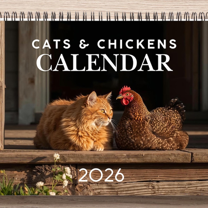 Chicken Calendar 2026 - Etsy