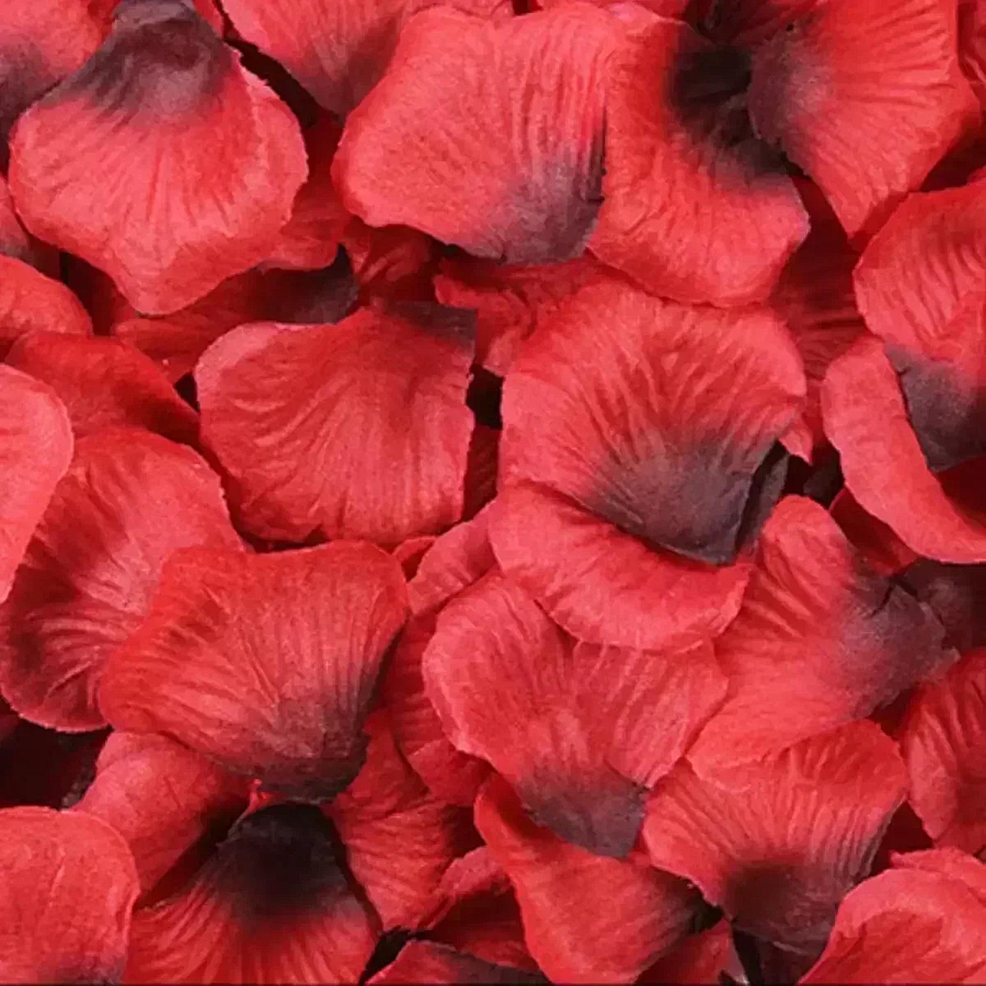 5000pcs Artificial Fake Rose Petals Red Colorful Simulation Silk Roses ...