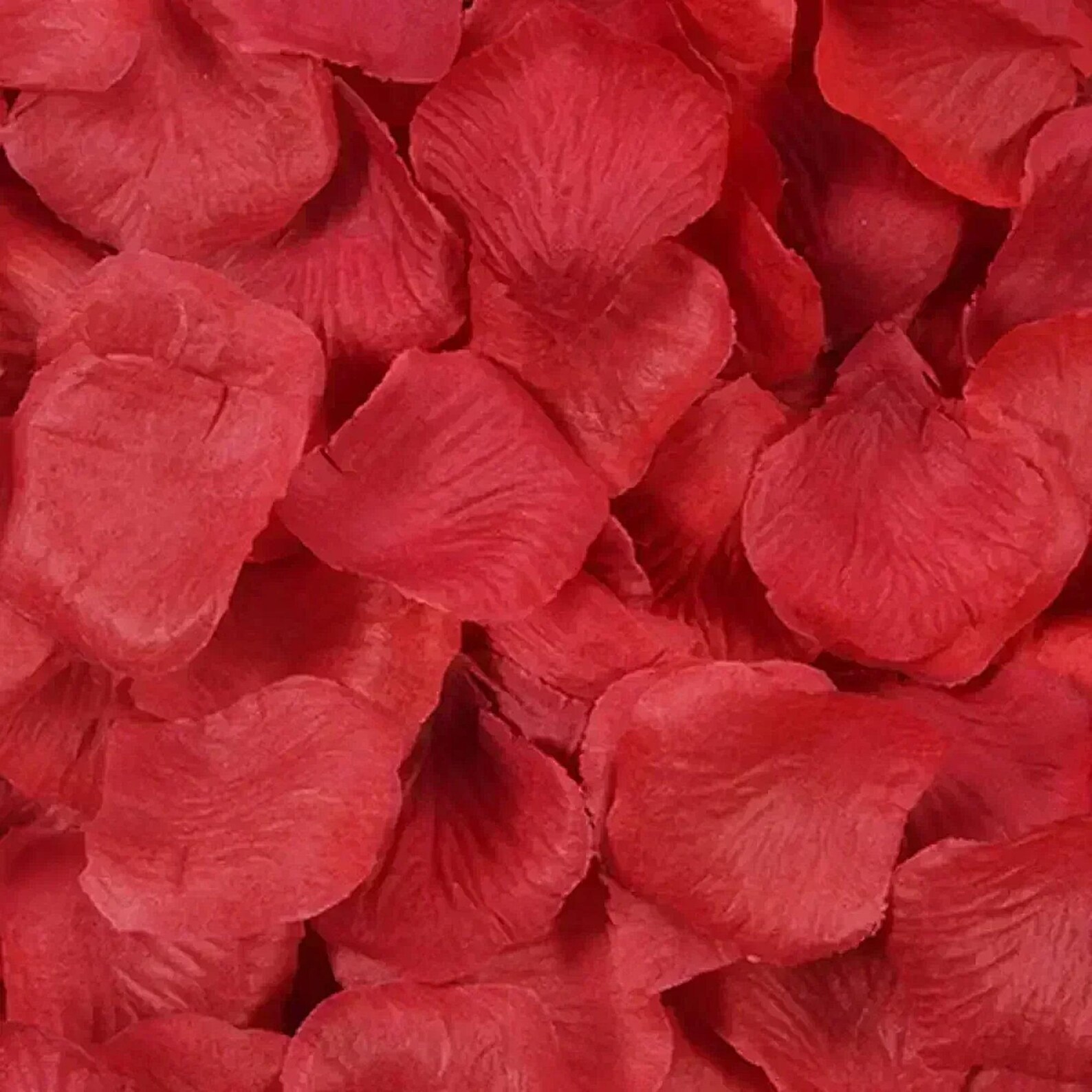5000pcs Artificial Fake Rose Petals Red Colorful Simulation Silk Roses ...