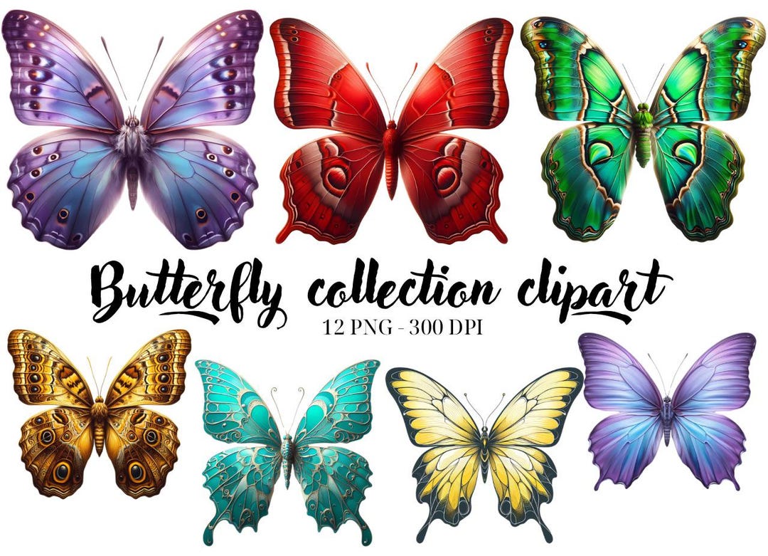 Watercolor Butterfly Clipart: Spring Insect PNG Graphics (commercial ...