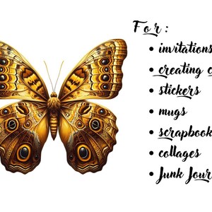 Watercolor Butterfly Clipart: Spring Insect PNG Graphics (commercial ...