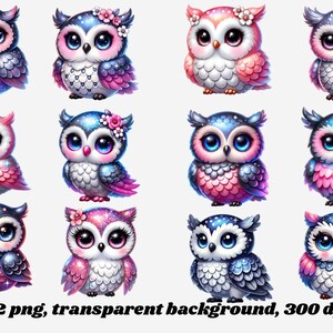 Sparkling Owl Clipart Bundle: Colorful Owl Pngs (digital Download) - Etsy