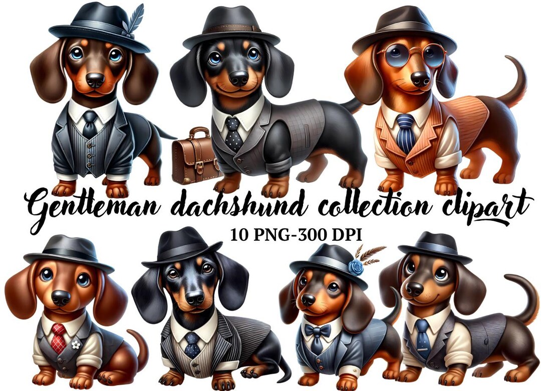 Dachshund Clipart Set, Cute Dachshund, Watercolor High Quality PNG ...