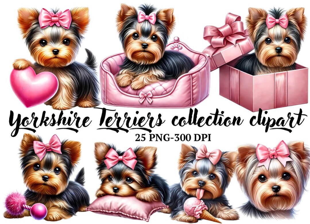 Yorkshire Terriers Clipart, 25 PNG Adorable Yorkie Graphics, Cute ...