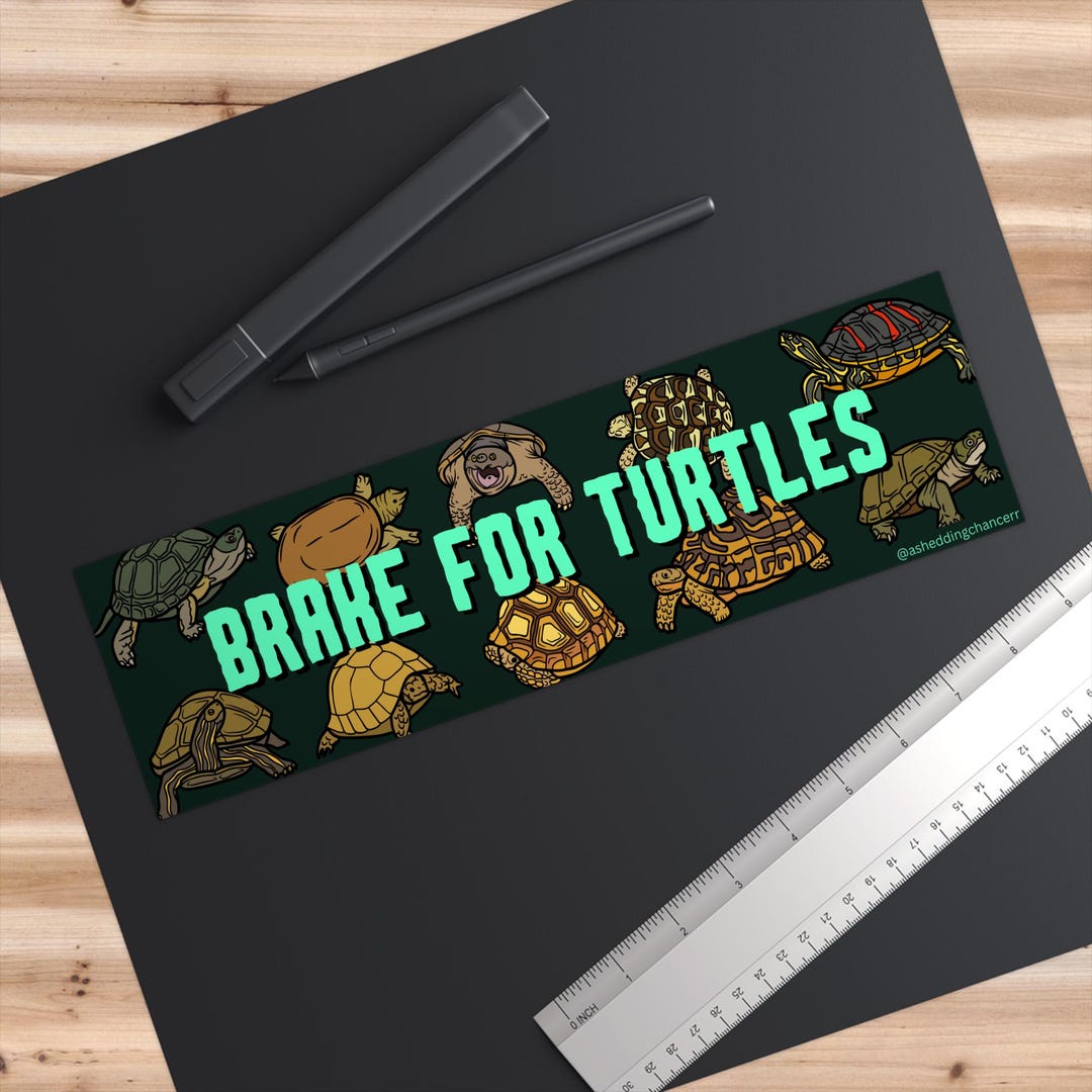 Brake for Turtles Bumper Sticker - Etsy