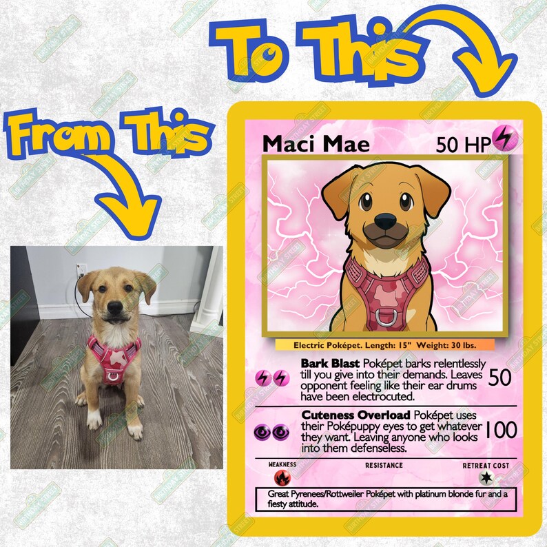 Custom Pokepet Card - PNG - Pet Card - Unique Pet Gift - Birthday Gift ...
