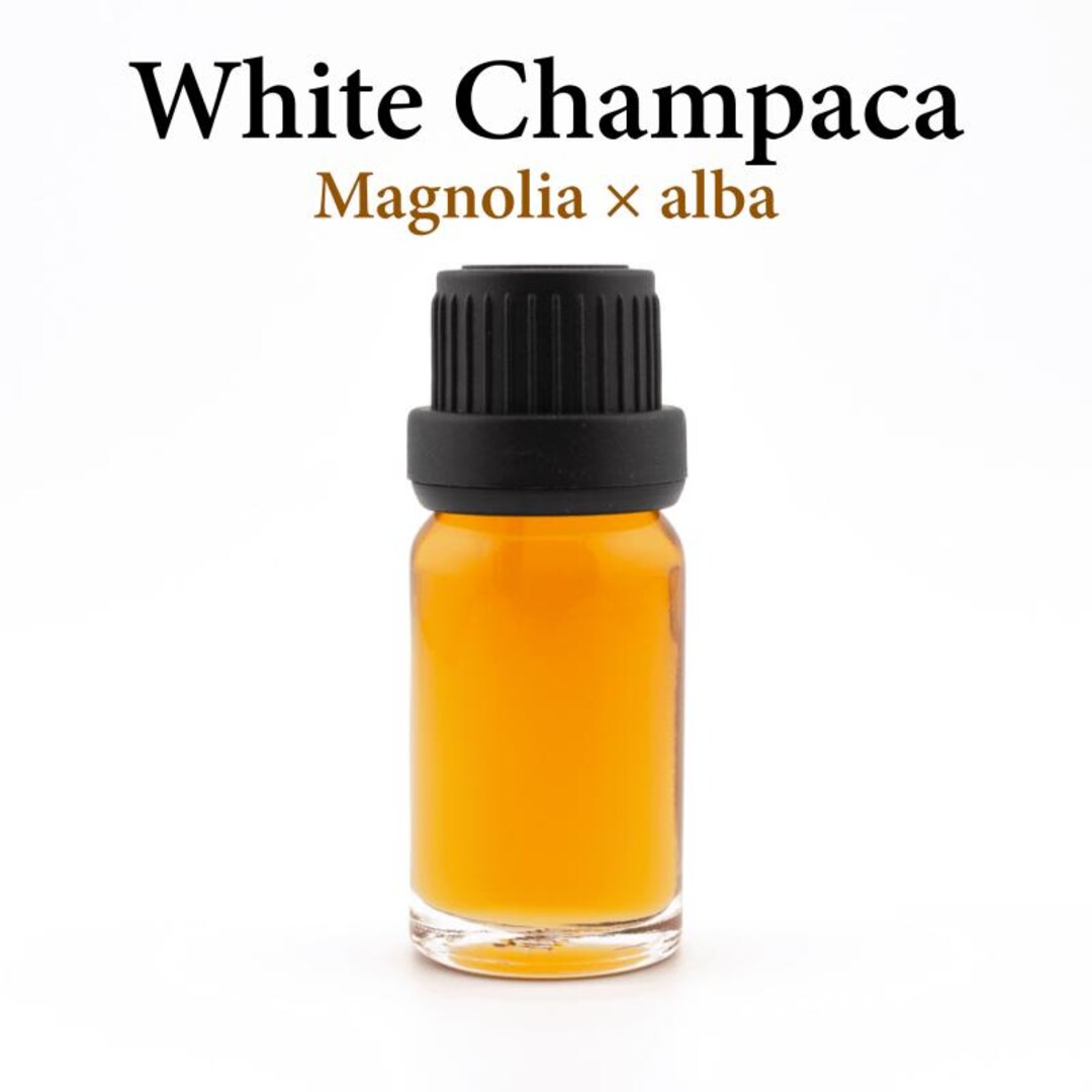 White Champaca Essential Oil From Sumatra – Steam Distillation ...