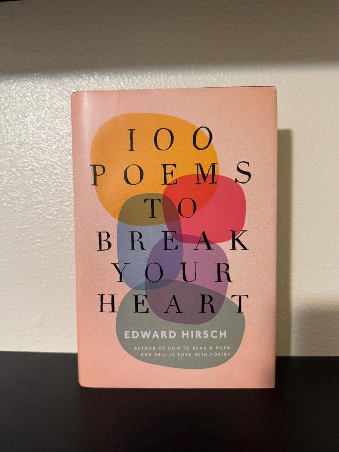 100 Poems to Break Your Heart - Etsy