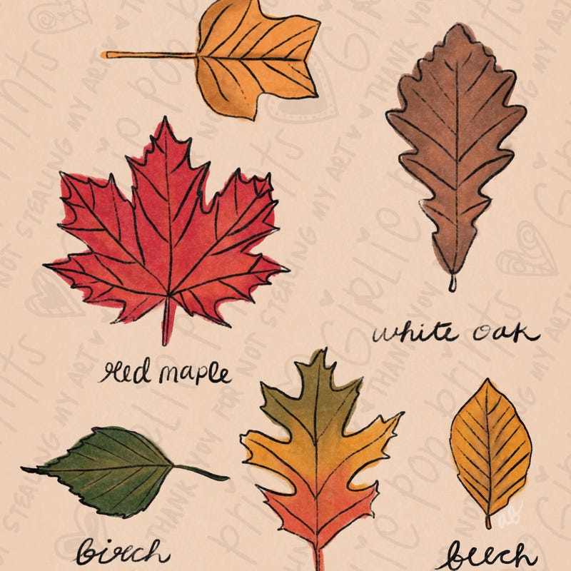 Fall Leaves Print - Etsy