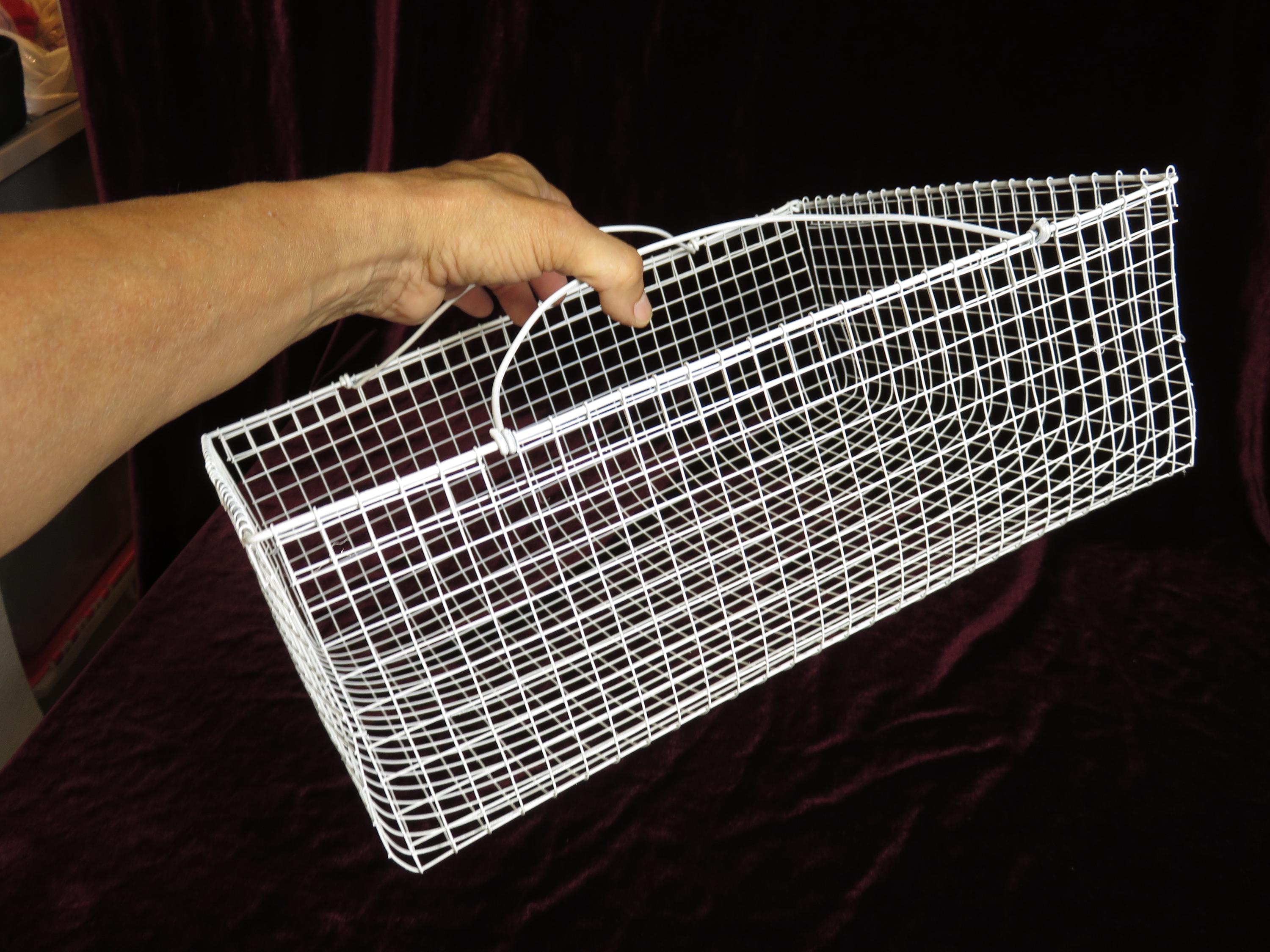 CAT BOX CARE- Cat Litter Box Sifter -easy Way to Clean Cat Box-poozass ...
