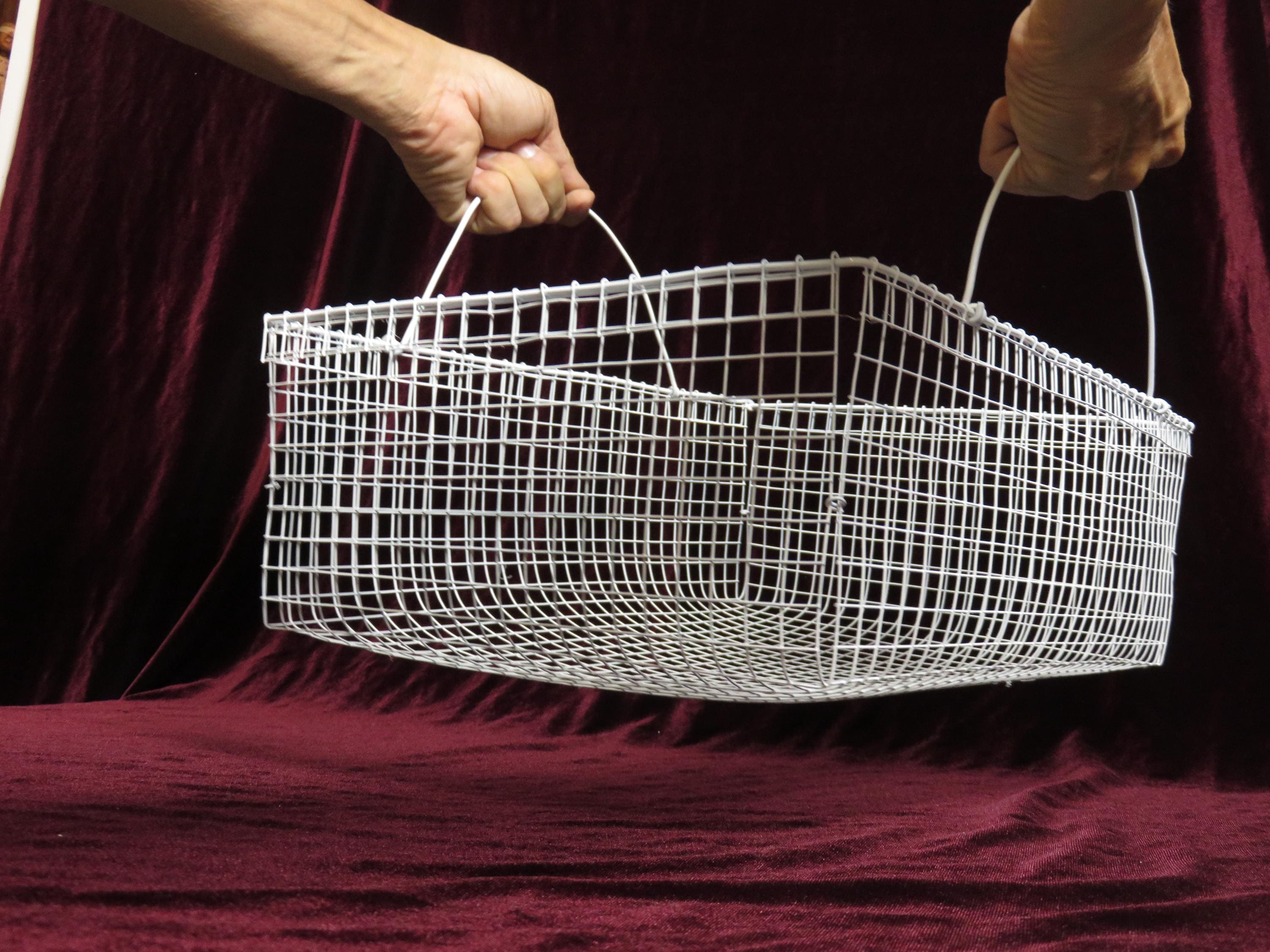 CAT BOX CARE- Cat Litter Box Sifter -easy Way to Clean Cat Box-poozass ...