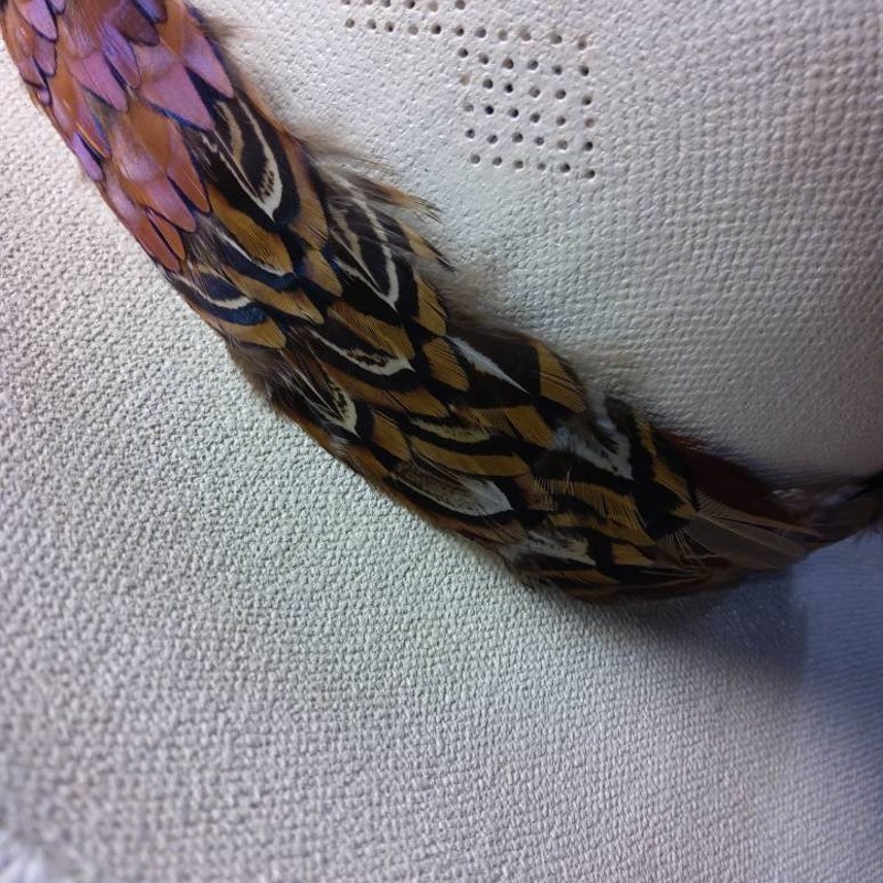 Phesant Feathers Hat Band - Etsy