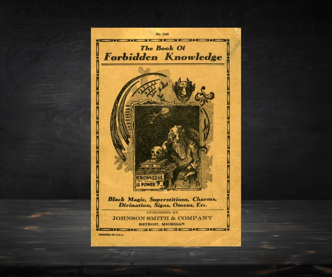 The Book of Forbidden Knowledge Grimoire Pages Spell Book Beginner ...