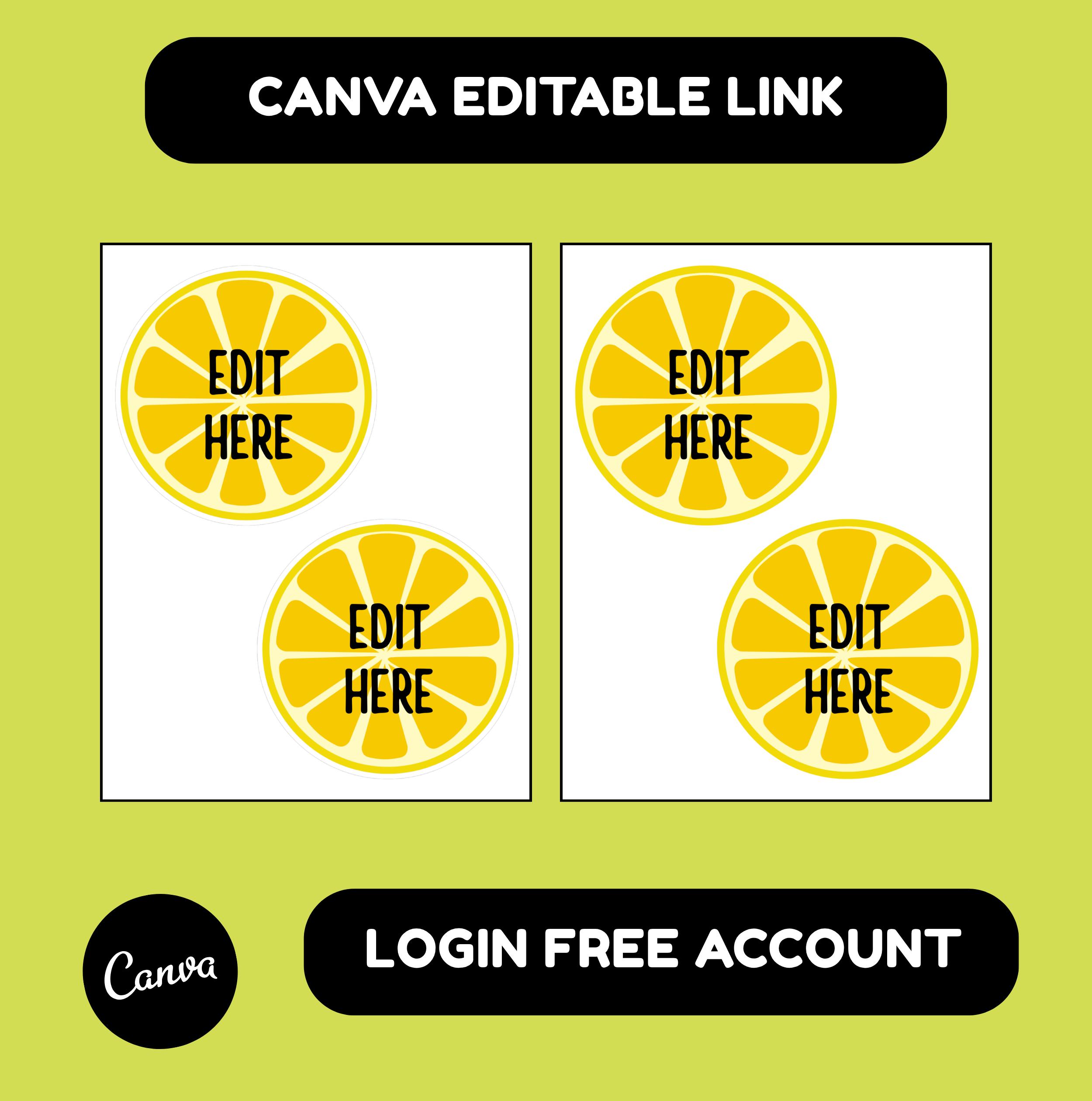 Summer Lemon Theme Bulletin Board Kit, Squeeze the Most Out of This ...