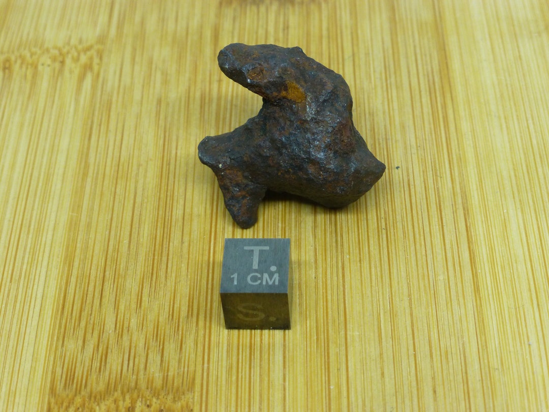 Mundrabilla Iron Meteorite Specimen, Nullarbor Plain, Australia - Etsy
