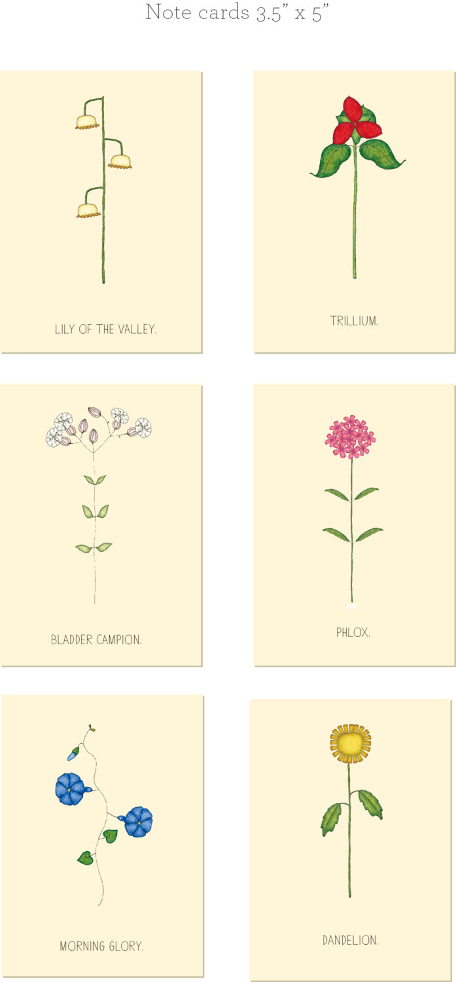 A Different Box of 6 Cards of Flowers We All Love. | Etsy