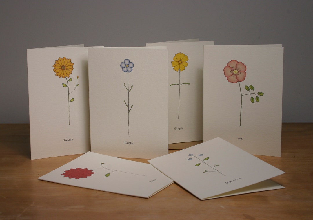 And a Brand New Box of 6 Cards of Flowers We All Love. Spring is on Its ...