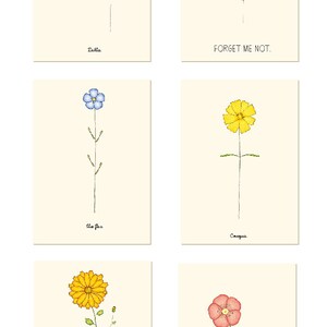 And a Brand New Box of 6 Cards of Flowers We All Love. Spring is on Its ...