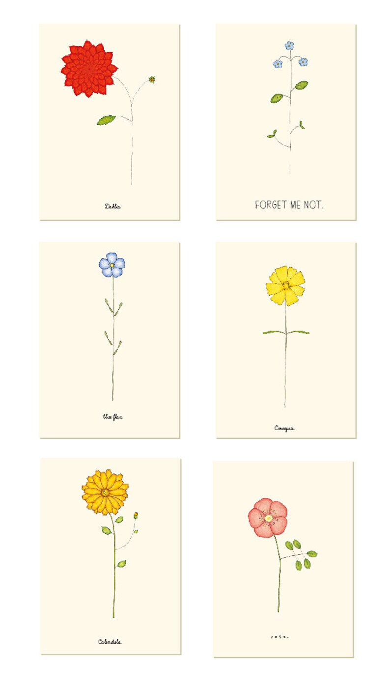And a Brand New Box of 6 Cards of Flowers We All Love. Spring - Etsy