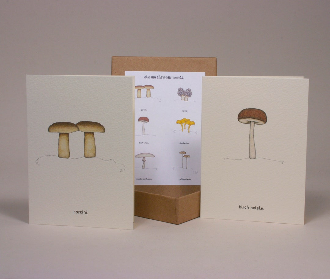 Mushroom Cards Boxed Set. - Etsy