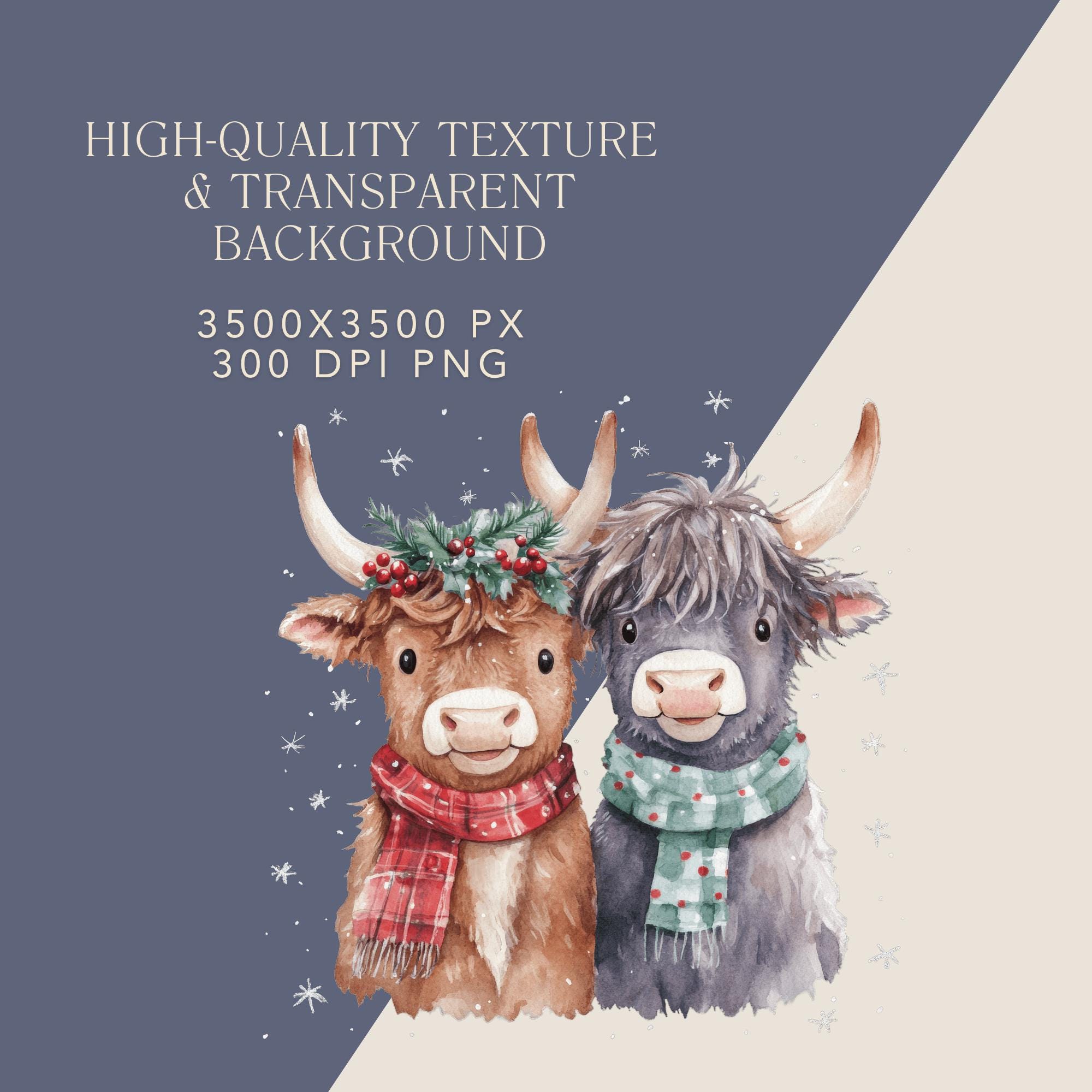 Christmas Highland Cow Clipart, Watercolor Cute Baby Cows for Christmas ...