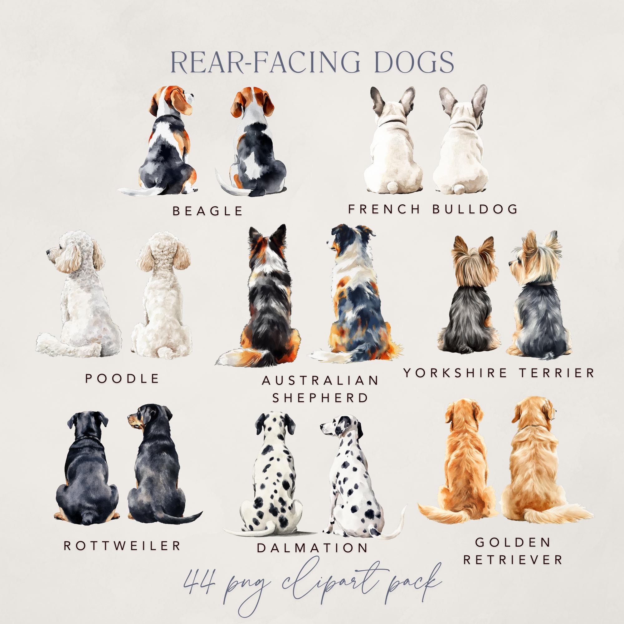 Dog Clipart From Back Featuring Rear Sitting Dogs, Full Back View ...
