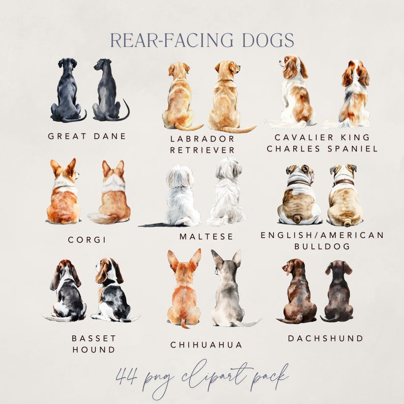 Dog Clipart From Back Featuring Rear Sitting Dogs, Full Back View ...