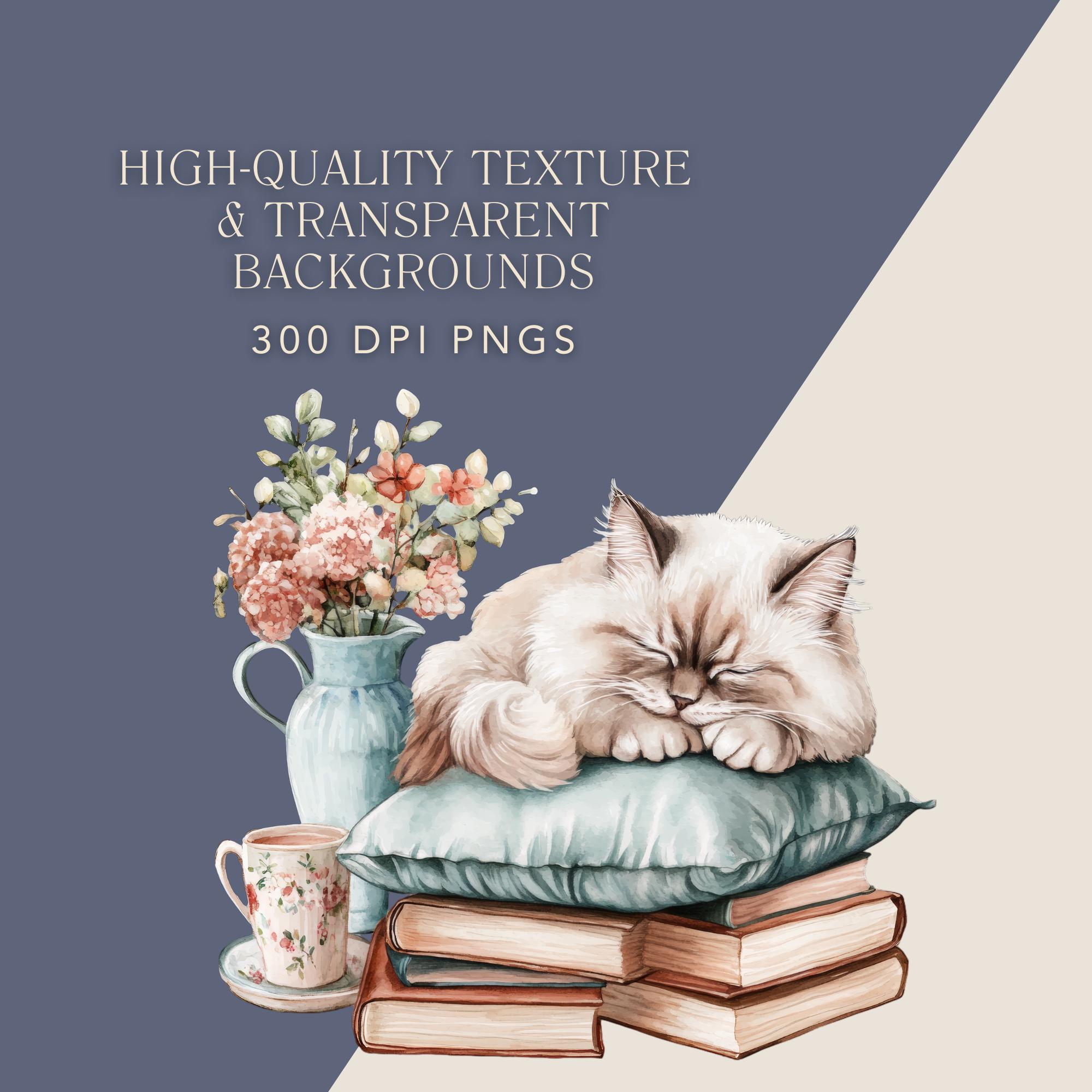 Watercolor Sleeping Cats on Books Clipart: Cozy Kitten PNG Pack ...