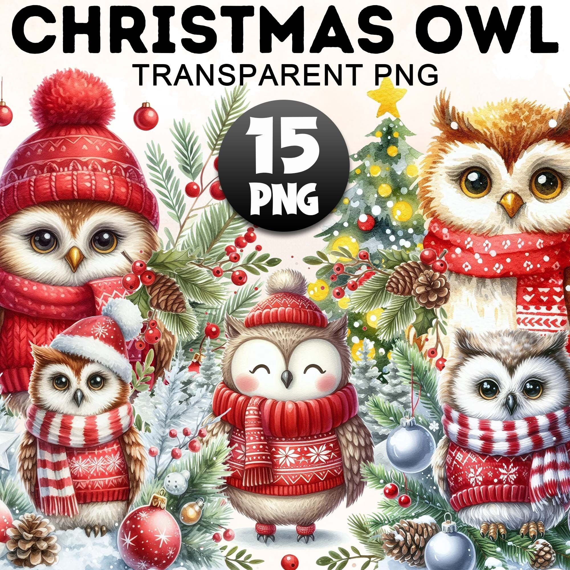 15 Winter Owl Clipart Bundle, Watercolor Christmas Owl Clipart, Animal ...