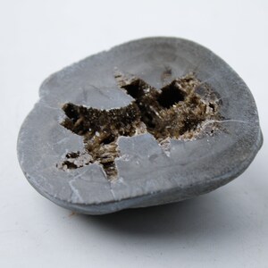 Barite in Septarian Nodule Geode - Etsy