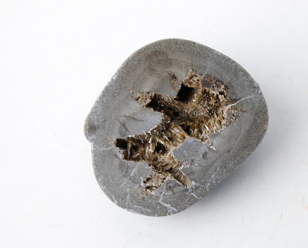 Barite in Septarian Nodule Geode - Etsy