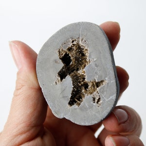 Barite in Septarian Nodule Geode - Etsy