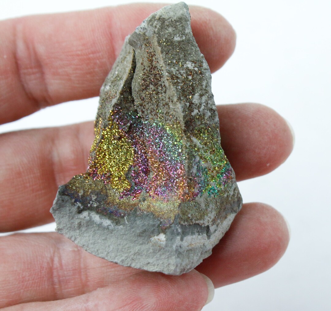 Rainbow Pyrite Septaria Concretion Piece From Russia - Etsy