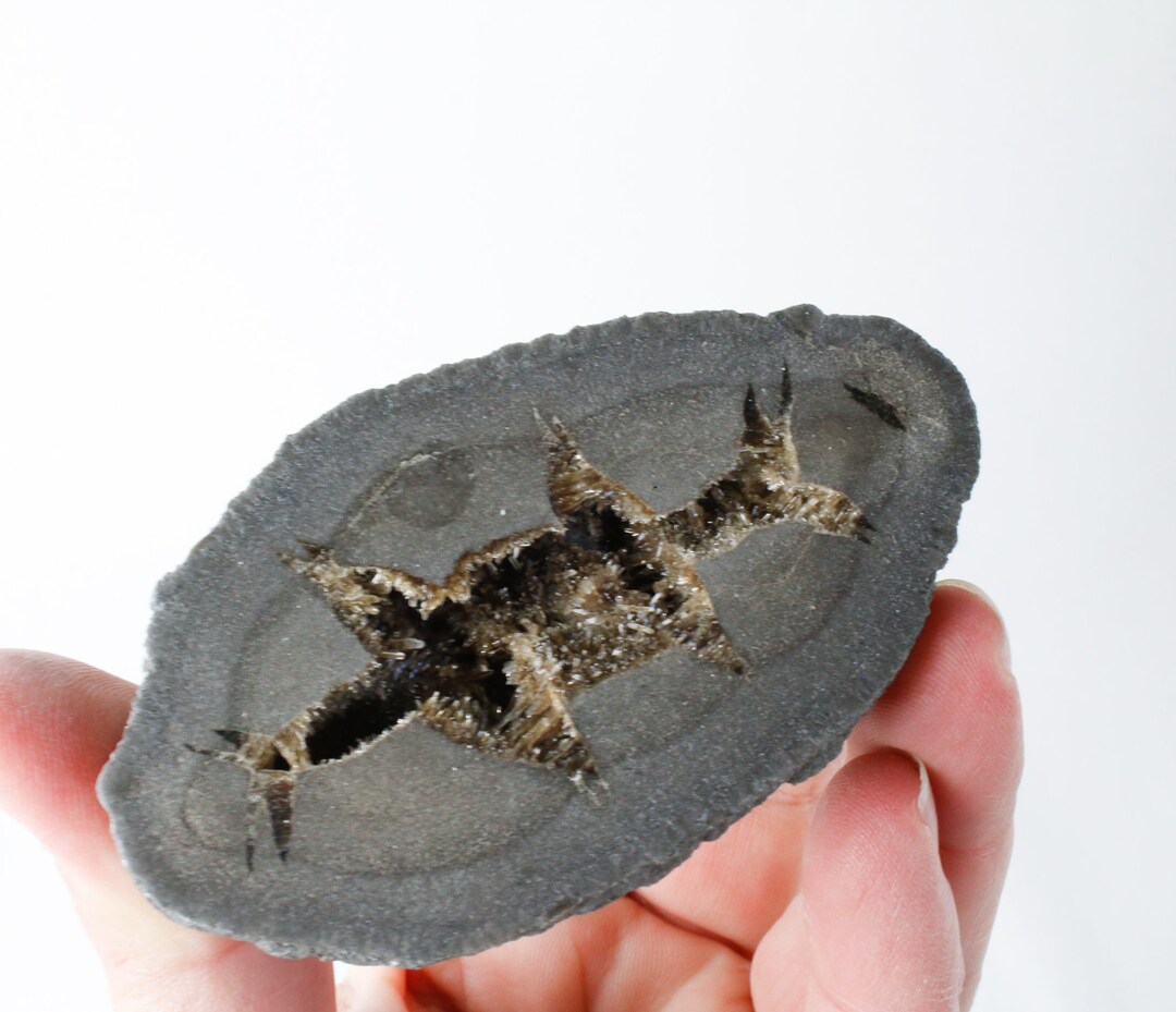 Barite in Septarian Nodule - Geode - Etsy