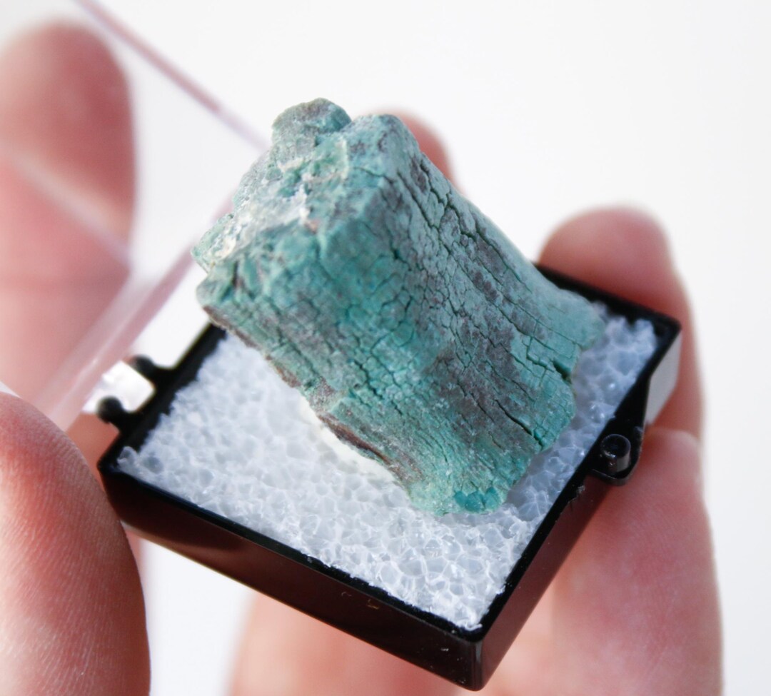 Green Chromium Petrified Wood - Arizona - Etsy