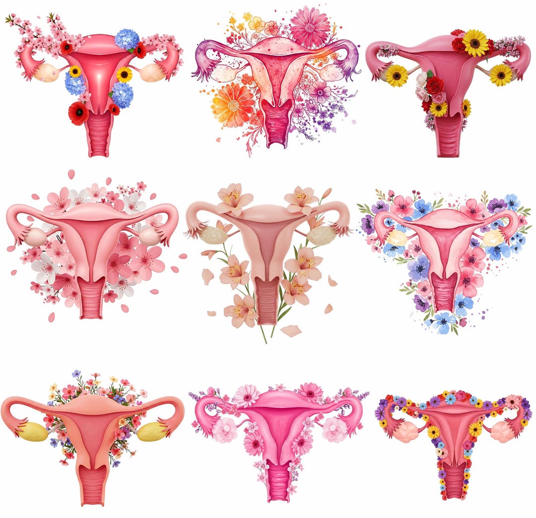 Uterus Art PNG, Women's Rights Digital Files Bundle, Floral Uterus ...