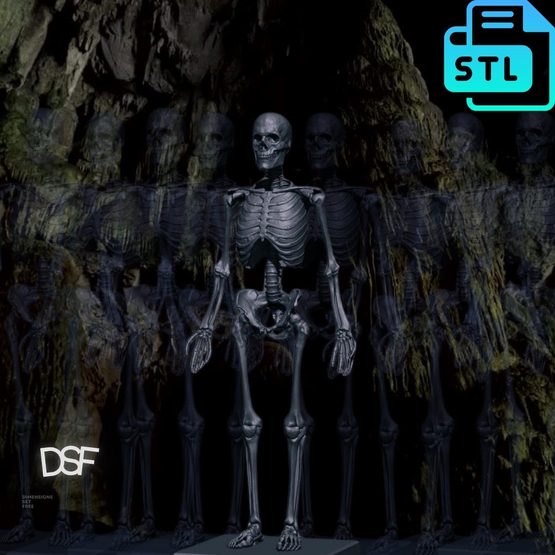 3D Human Skeleton Print File,3d Human Skeleton,3d Human Skeleton Stl,3d ...