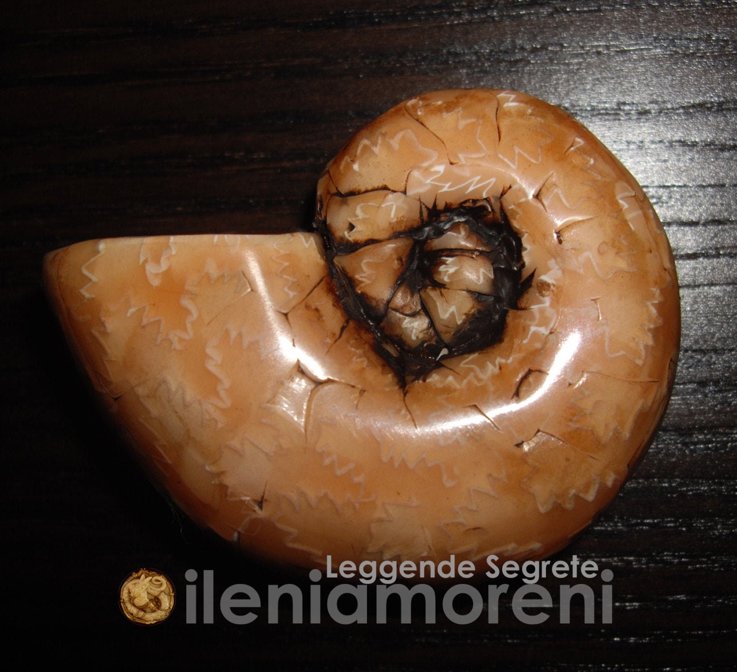 Polymer Clay Tutorial Ammonite Sutures Effect - Etsy