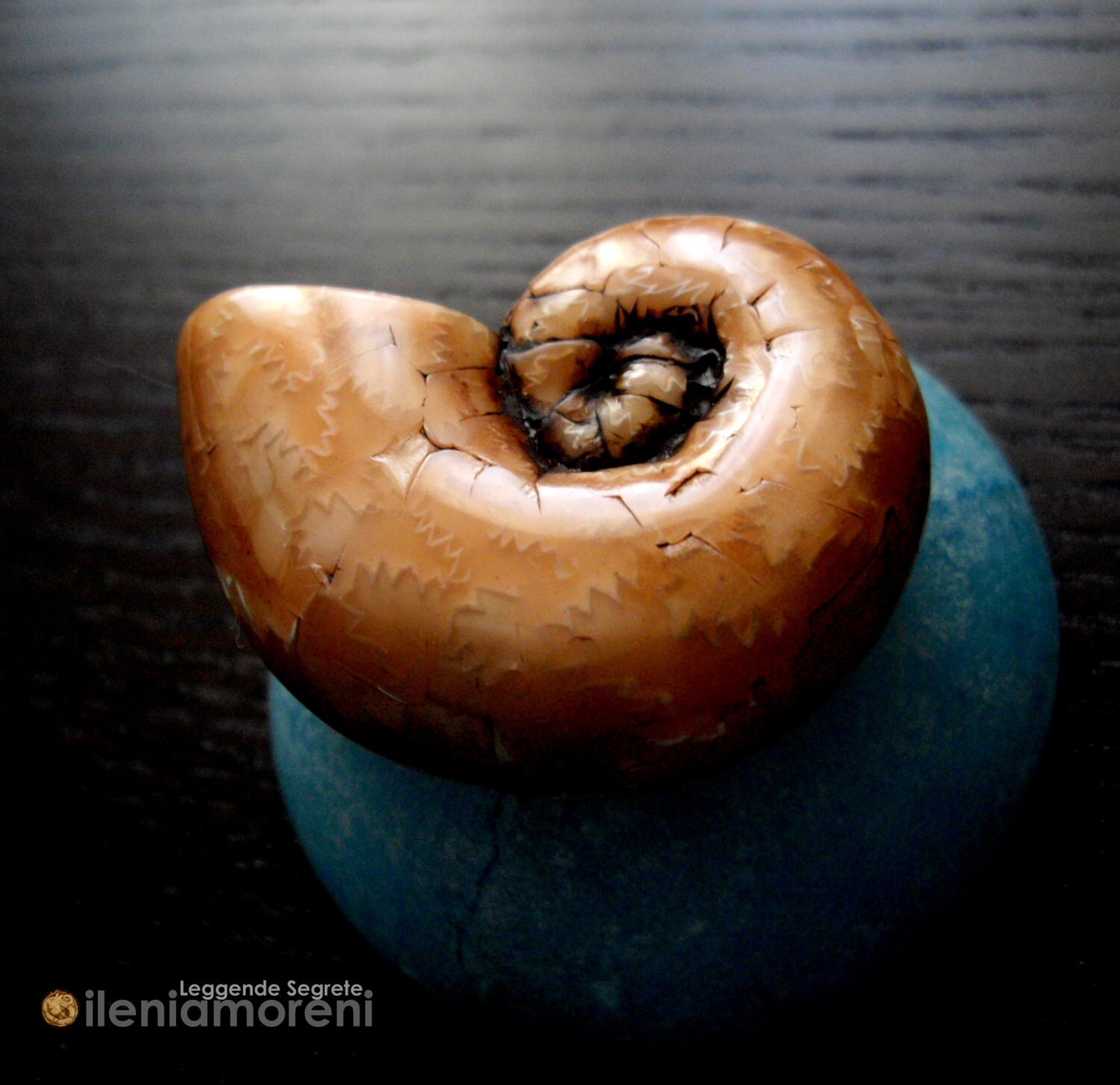 Polymer Clay Tutorial Ammonite Sutures Effect - Etsy