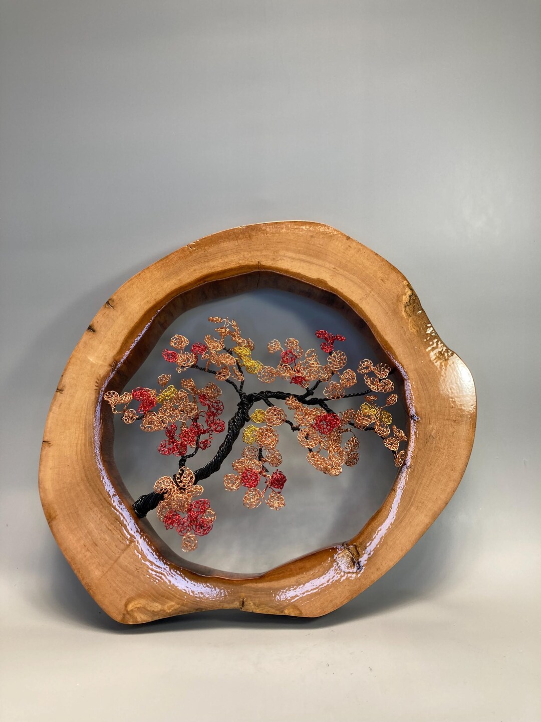 Gumtree Hollow Log Slice With Wire Tree Vine - Etsy