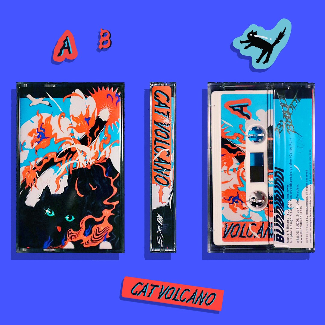 Indie Music Cassette Tape CAT VOLCANO by Buddi Buddi Record Nostalgia ...