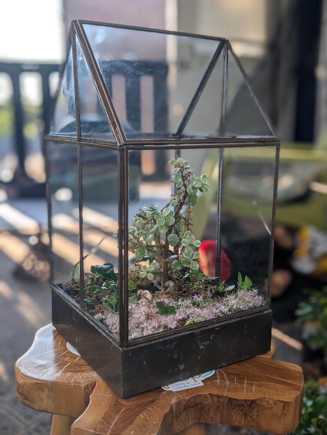 Double Cracked Greenhouse Terrarium 15inx8in - Etsy