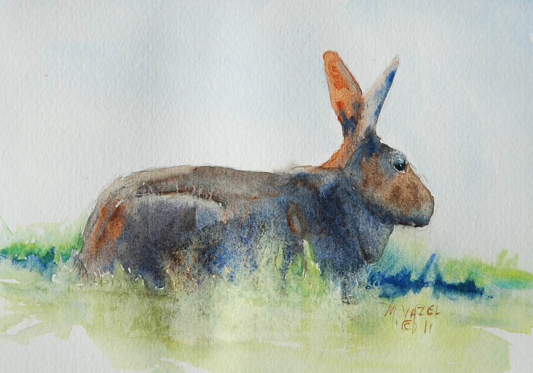 Cottontail Rabbit, Watercolor, Rabbit, Animal, Yard, Wildlife, Farm ...