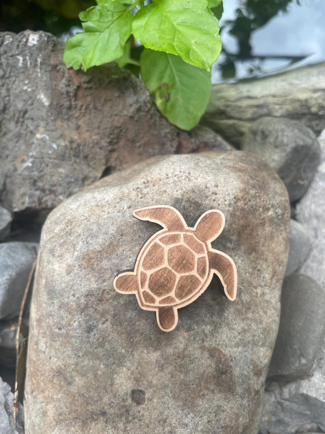 Engraved Wood Turtle Magnet: Fridge Decor Gift - Etsy